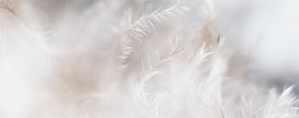 Difference between feather and down cluster: which is better ...